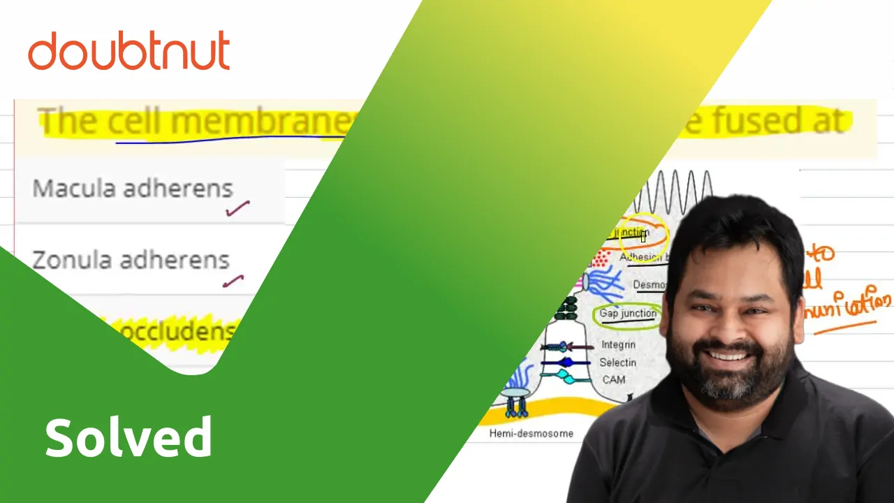 The cell membranes of adjacent cells are fused at
