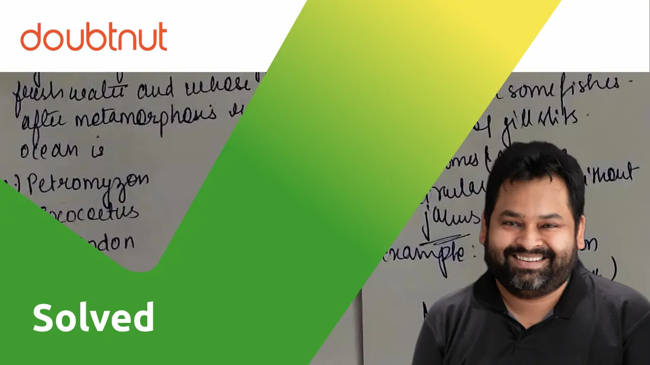 A jawless fish, which layes eggs in fresh water and whose ammocoetes l