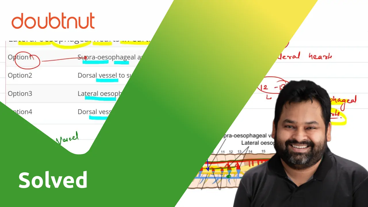 Lateral oesophageal vessel to subneural vessel