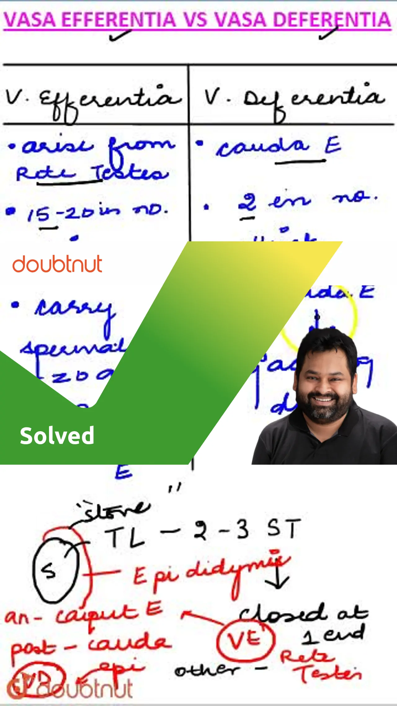 Vasa Efferentia vs Vasa Deferentia