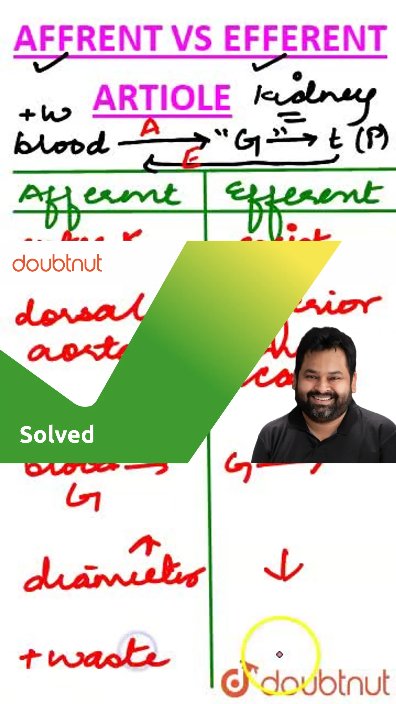 Afferent vs Efferent Arteriole
