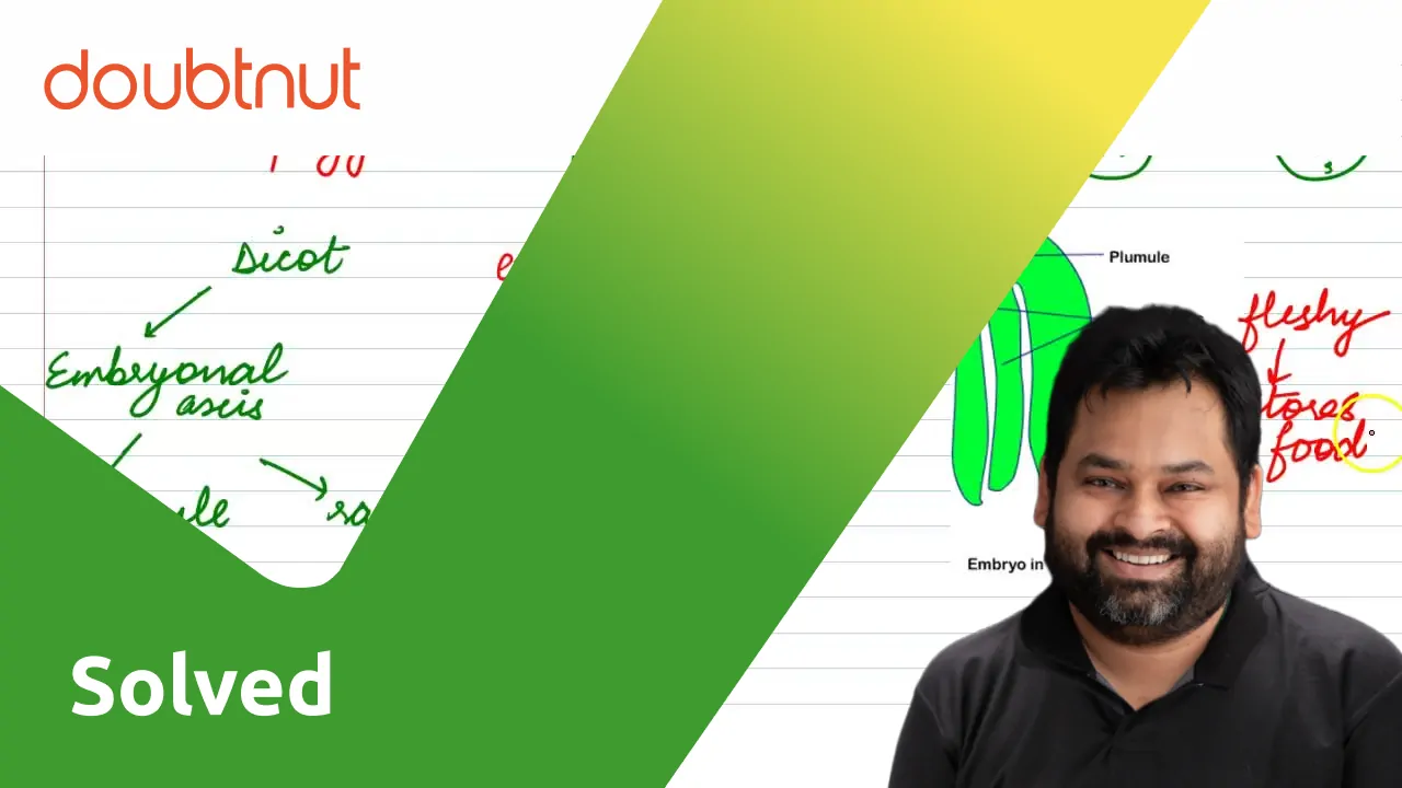 Punjabi Solution Long Answer Questions Five Mark Each QUESTIONS FRO punjabi-solution-long-answer-questions-five-mark-each-questions-fro