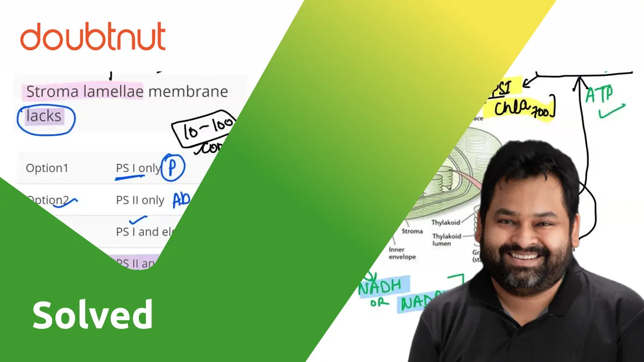 Stroma lamellae membrane lacks