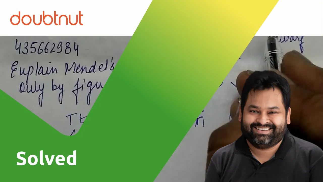 Explain Mendel's test cross only by figure.