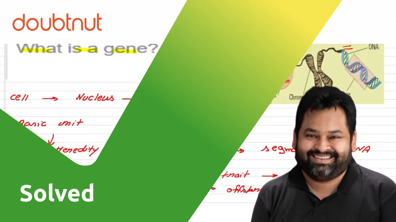 what-is-a-gene