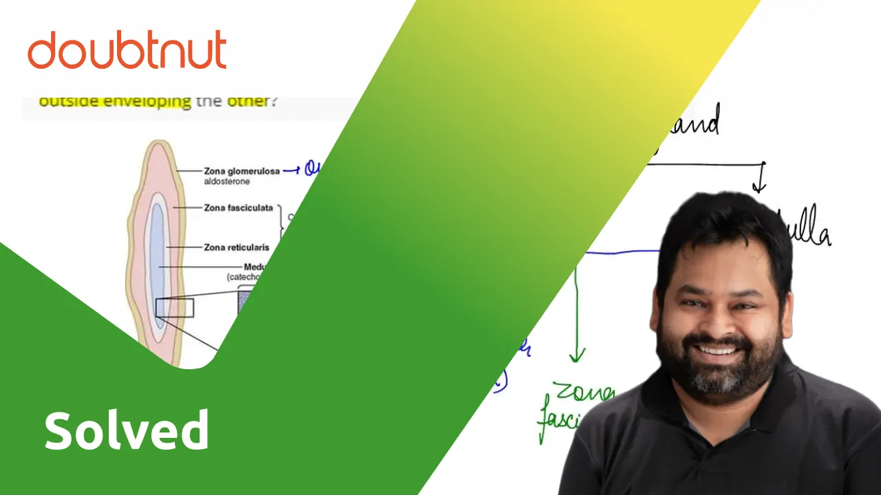 Which of the two adrenocortial layers, zona glomerulosa and zona retic