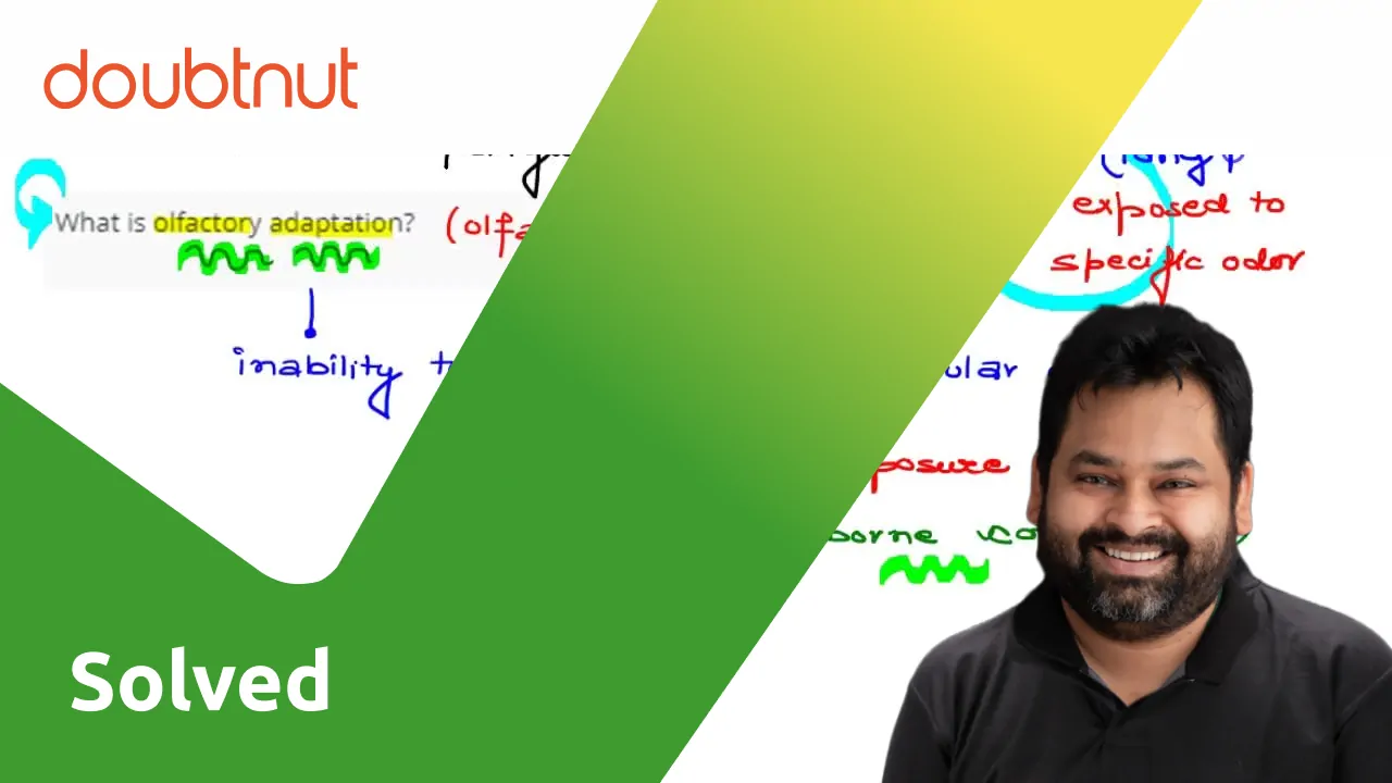 What is olfactory adaptation?