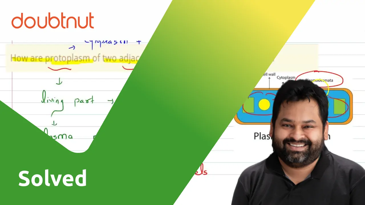How are protoplasm of two adjacent cells conncected to each other?