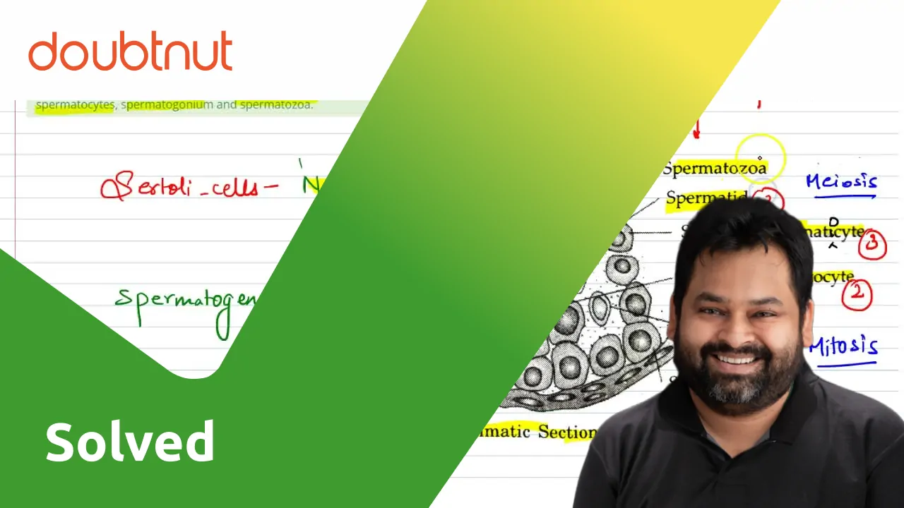 Draw a labelled diagram of the sectional view through a small part of