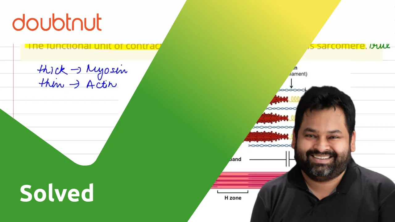 The functional unit of contractile system in the striped muscle is sar