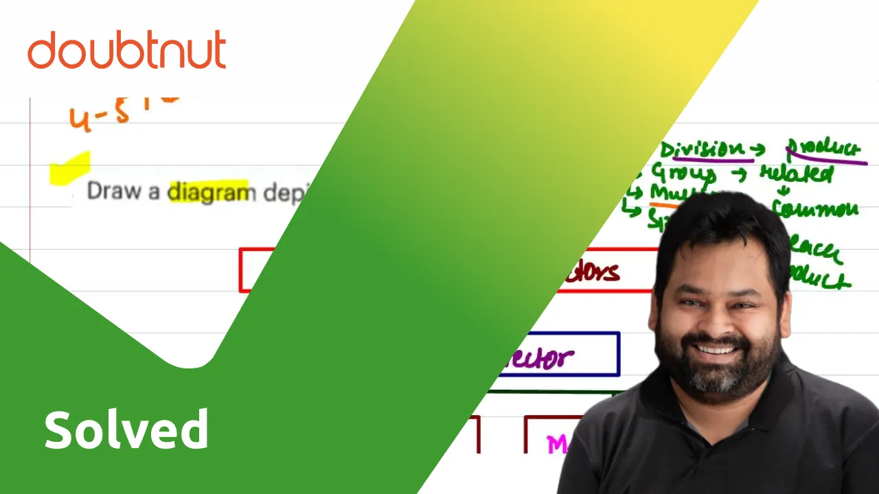Draw a diagram depicting a divisional structure.