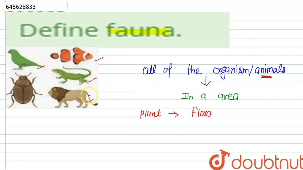 [Punjabi Solution] Define fauna.