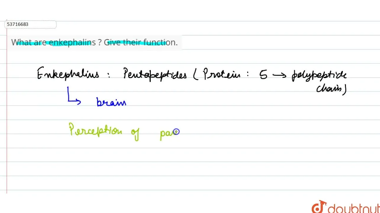 What are enkephalins ? Give their function.