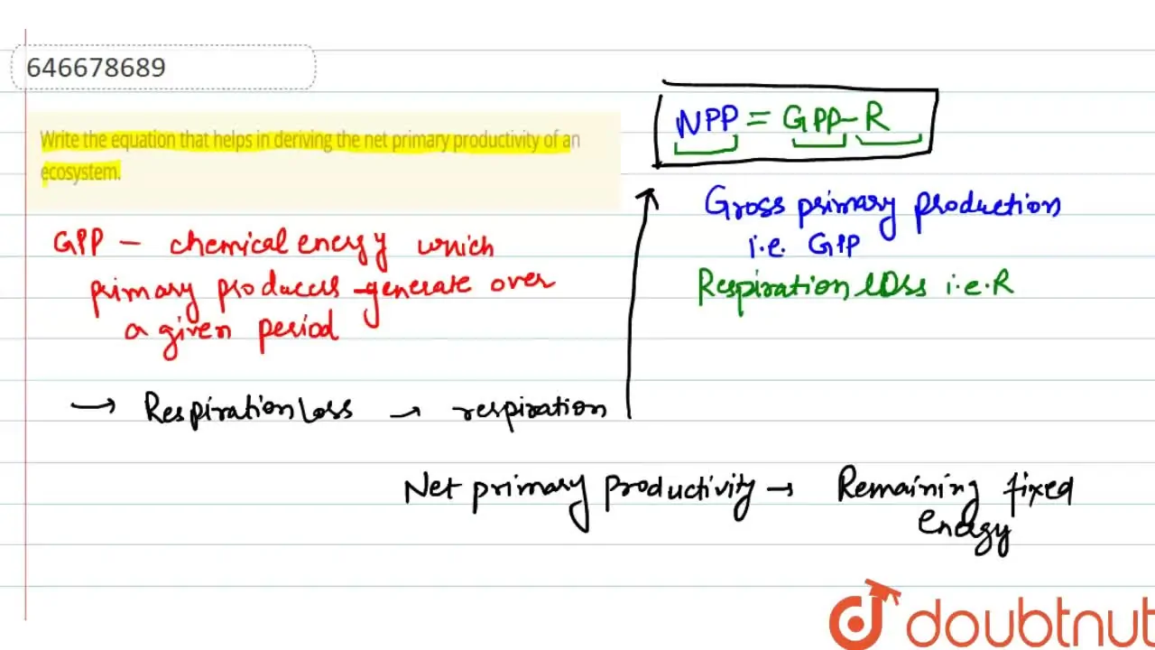 Write the equation that helps in deriving the net primary productivity