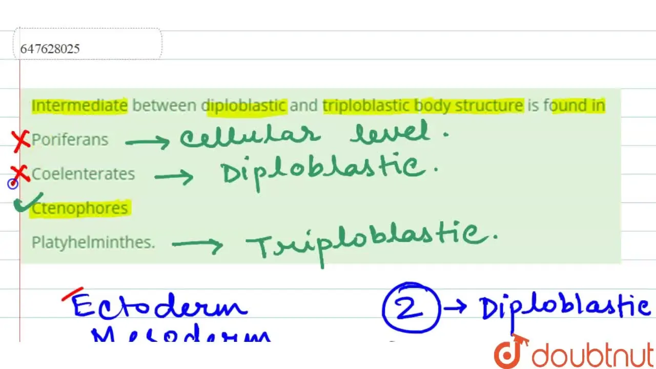 [Bengali Solution] Intermediate between diploblastic and triploblastic