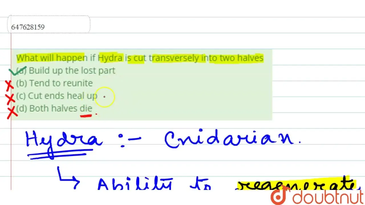 [Bengali Solution] What will happen if Hydra is cut transversely into