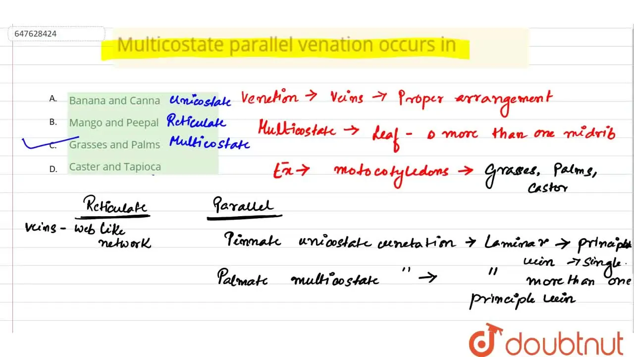 [Bengali Solution] Multicostate parallel venation occurs in