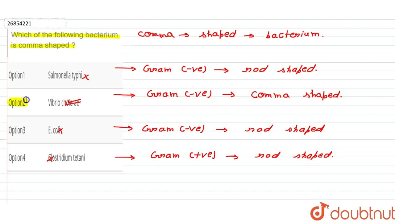 Which of the following bacterium is comma shaped