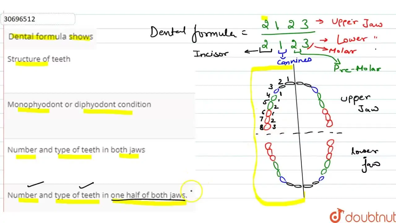 Dental formula shows