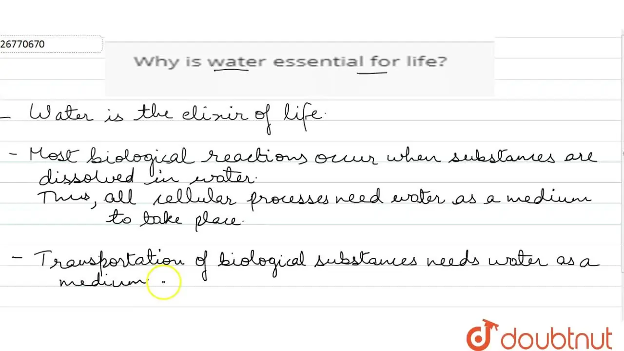 Why is water essential for life?