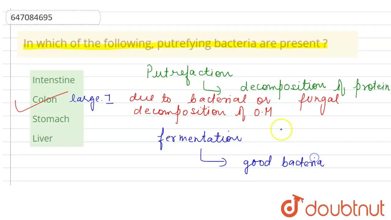 [Punjabi Solution] In which of the following, putrefying bacteria are