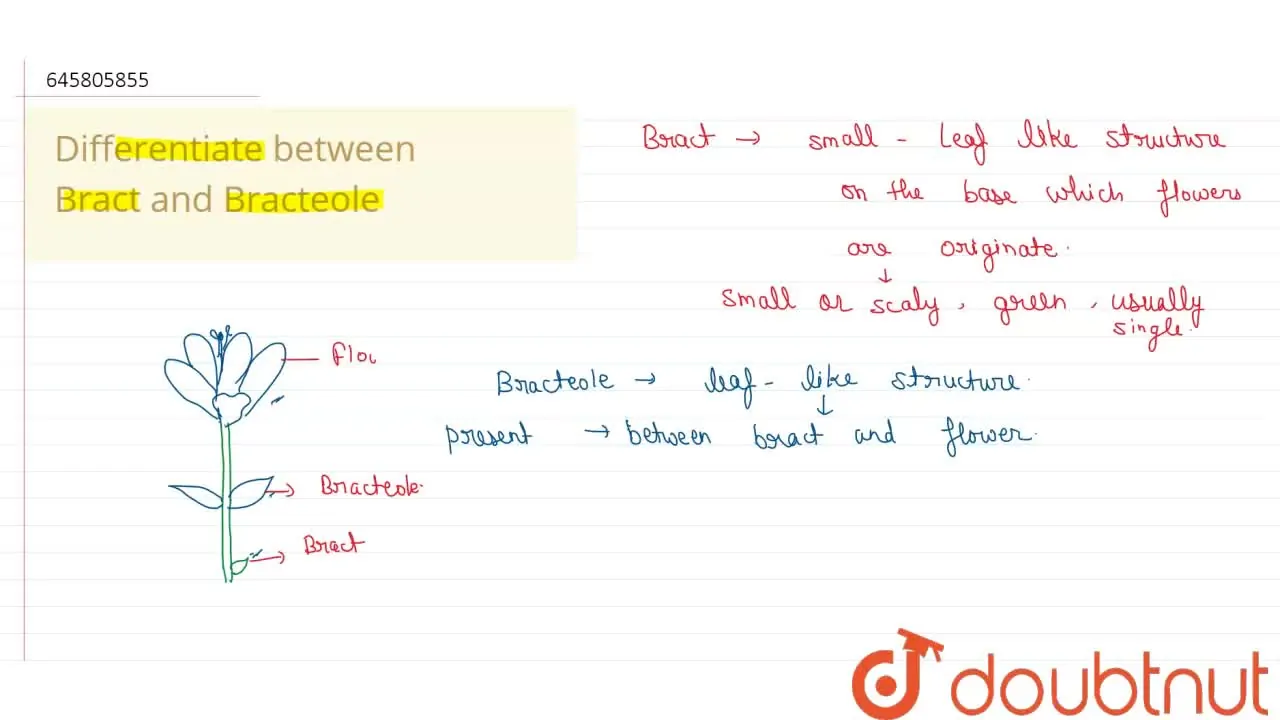[Punjabi Solution] Differentiate between Bract and Bracteole