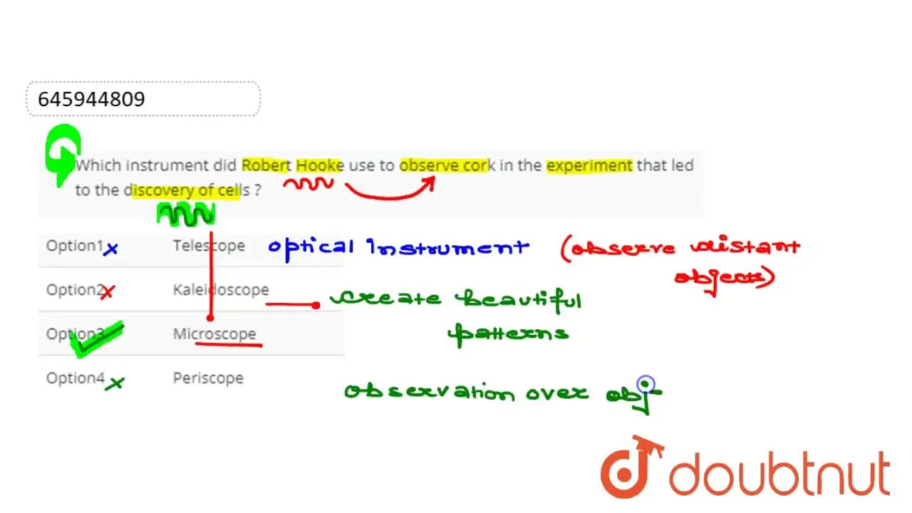Which instrument did Robert Hooke use to observe cork in the experimen