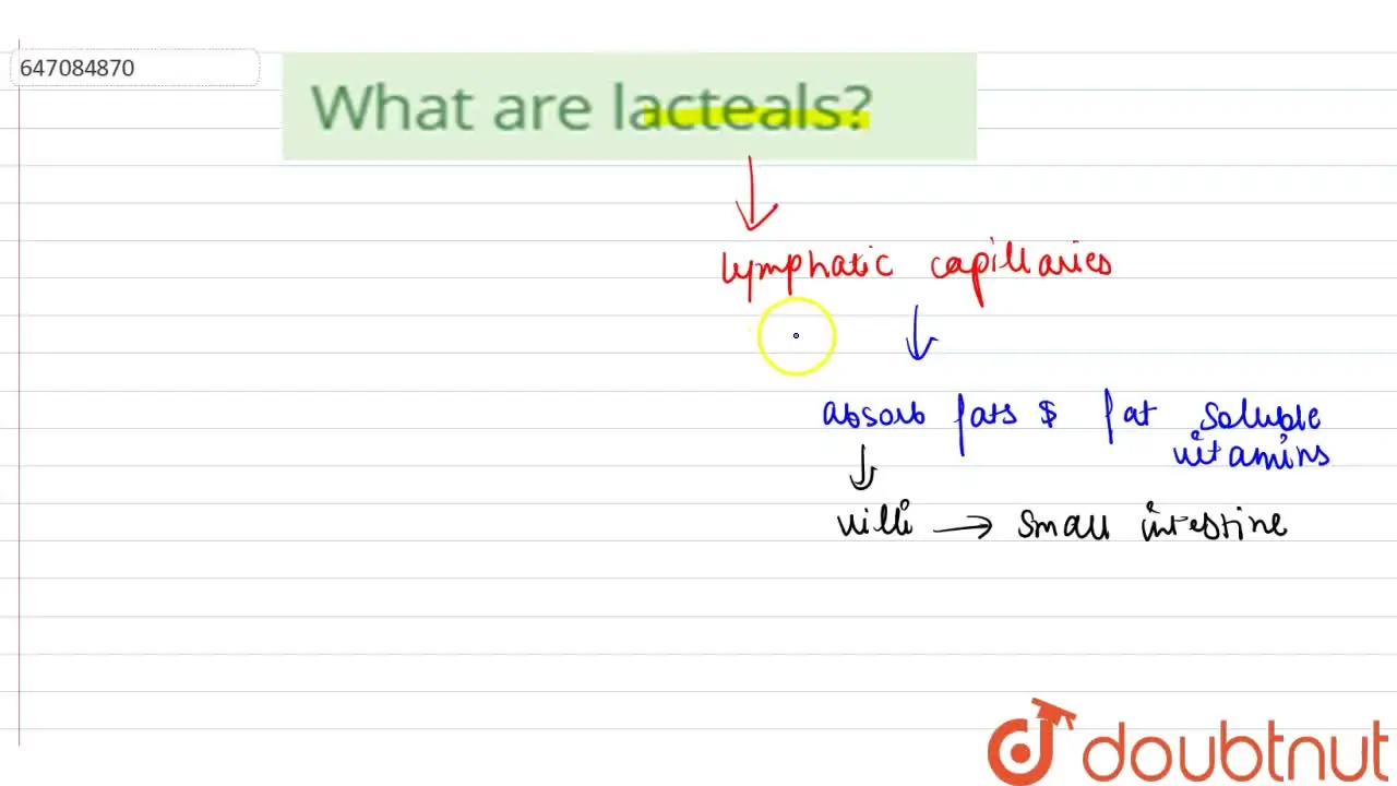 [Punjabi Solution] What are lacteals?