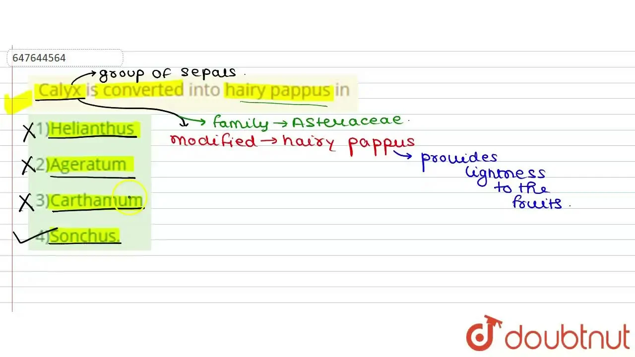 [Bengali Solution] Calyx is converted into hairy pappus in