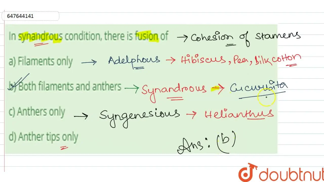 [Bengali Solution] In synandrous condition, there is fusion of