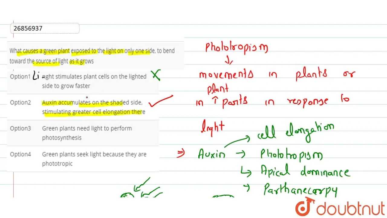 Green plants need light to perform photosynthesis.