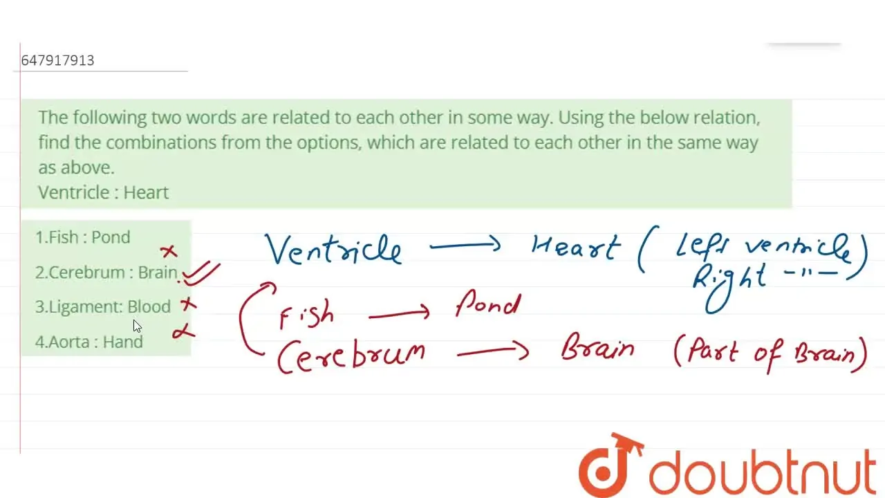 The following two words are related to each other in some way. Using t