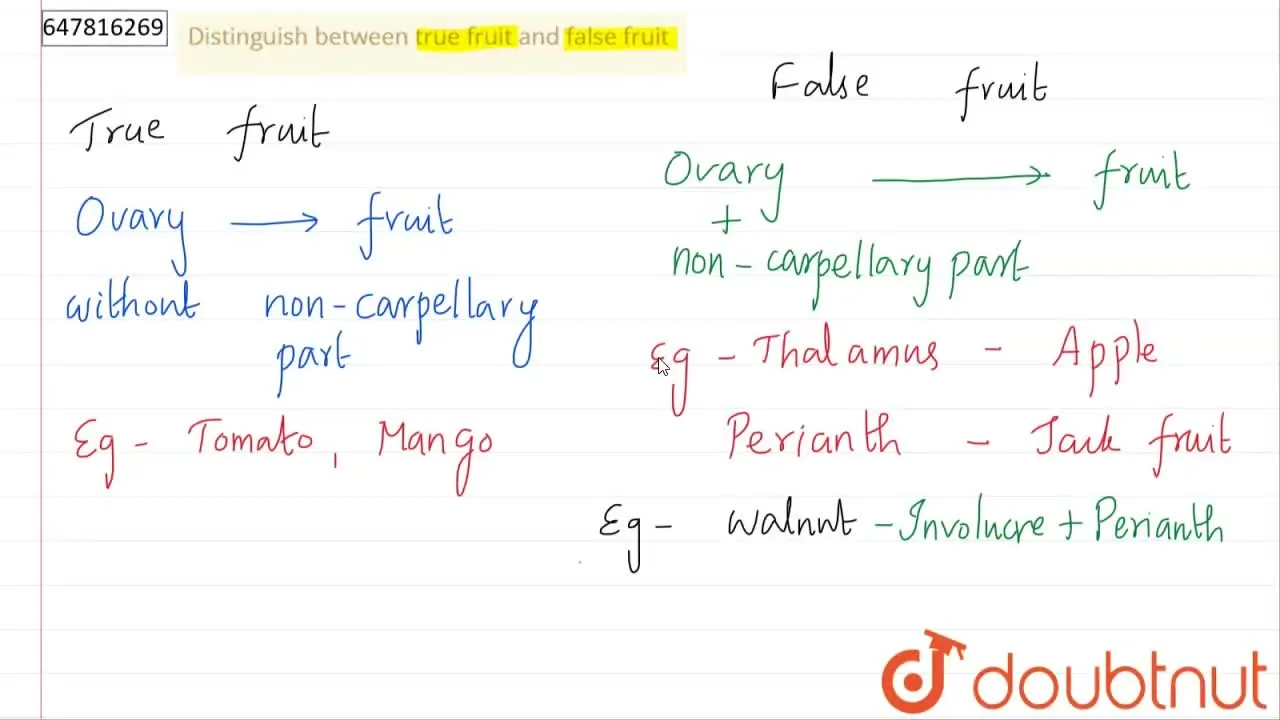 [Tamil Solution] Distinguish between true fruit and false fruit