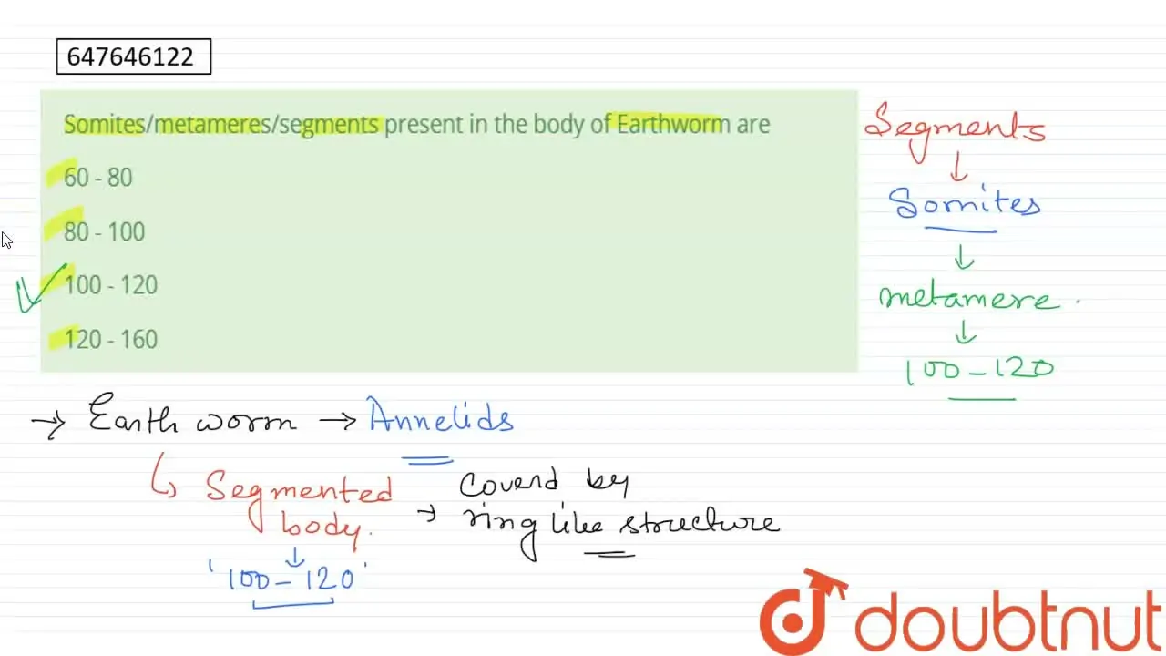 [Bengali Solution] Somites/metameres/segments present in the body of E