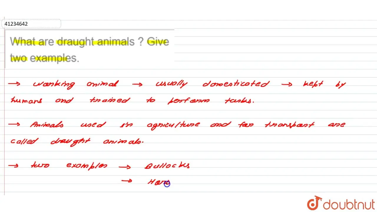 What are draught animals ? Give two examples.