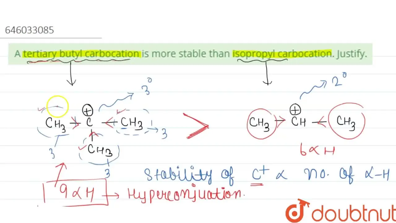 A tertiary butyl carbocation is more stable than isopropyl carbocation