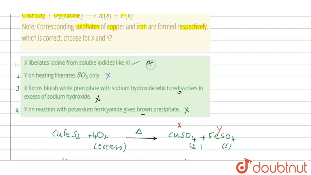 X forms bluish white precipitate with sodium hydroxide which redissolv