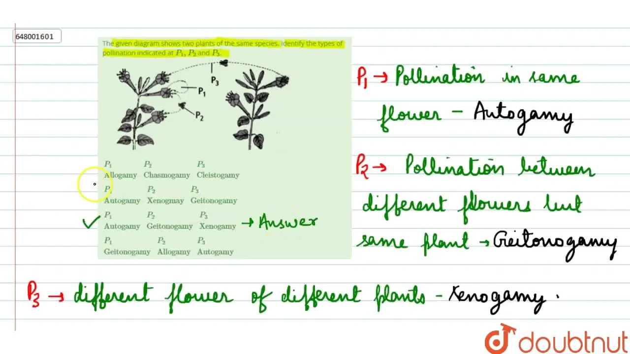 [Odia Solution] {:(P(1),P(2),P(3)),("Autogamy","Geitonogamy","Xenogamy