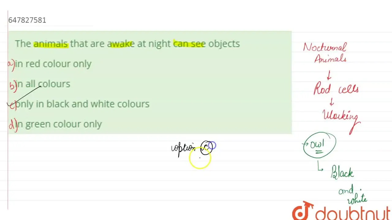 The animals that are awake at night can see objects