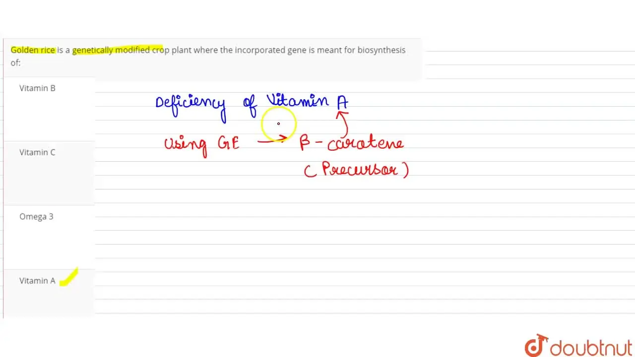 Golden rice is a genetically modified crop plant where the incorporat
