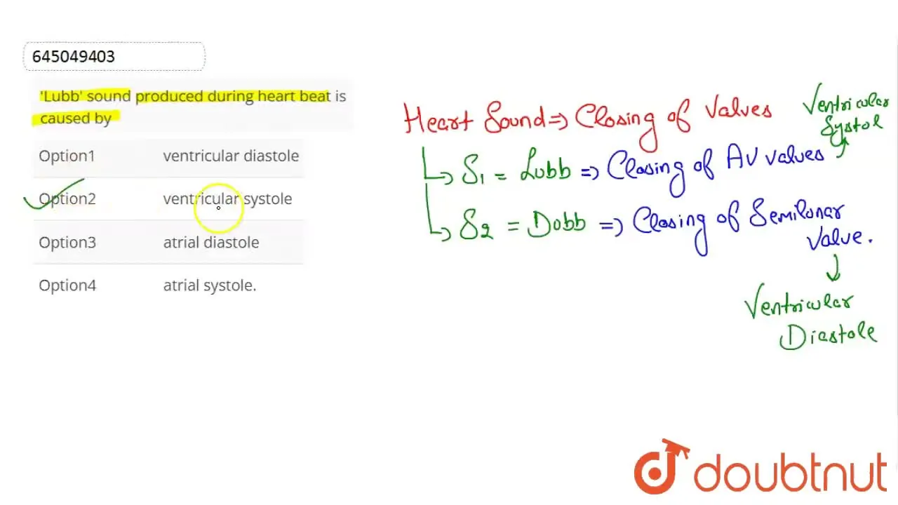 'Lubb' sound produced during heart beat is caused by
