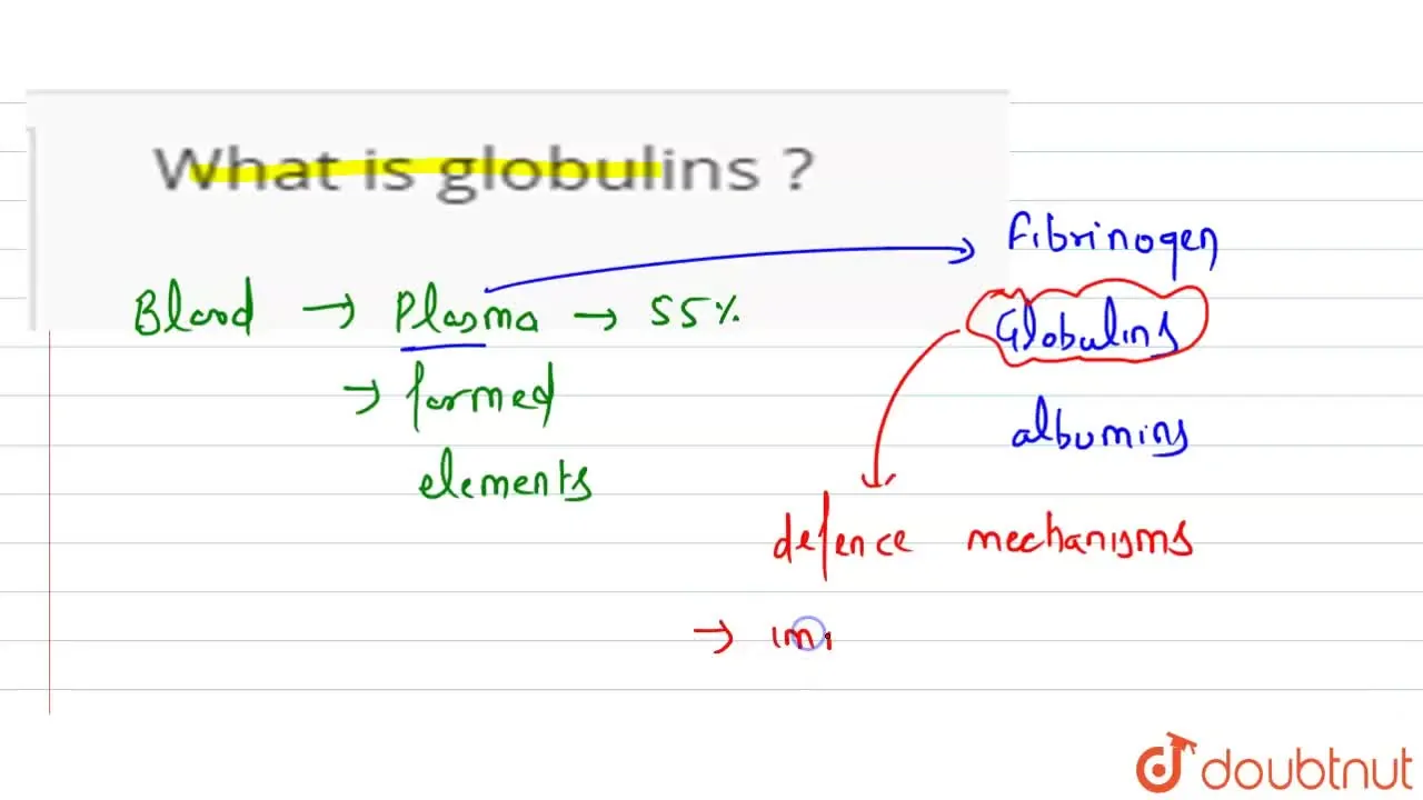 What is globulins