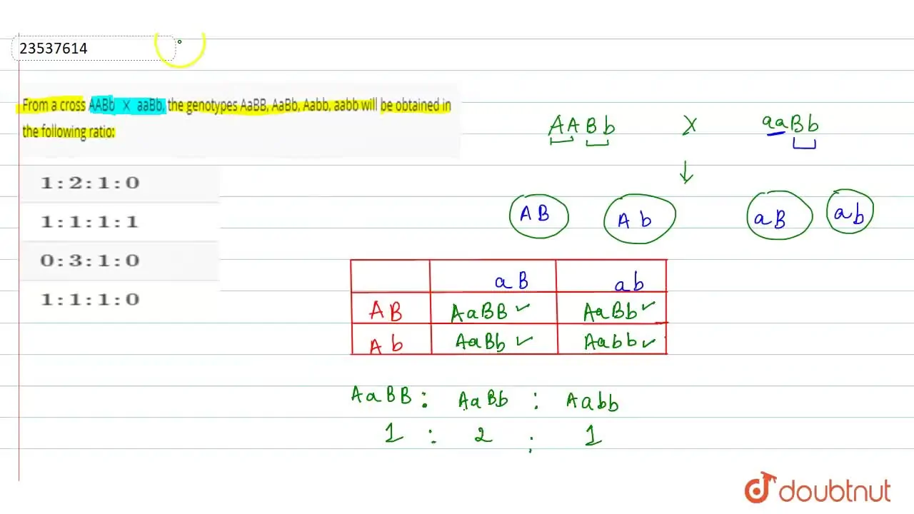 From a cross AABb xx aaBb, the genotypes AaBB, AaBb, Aabb, aabb will b