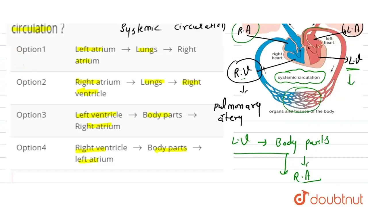 Left ventricle to Body parts to Right atrium