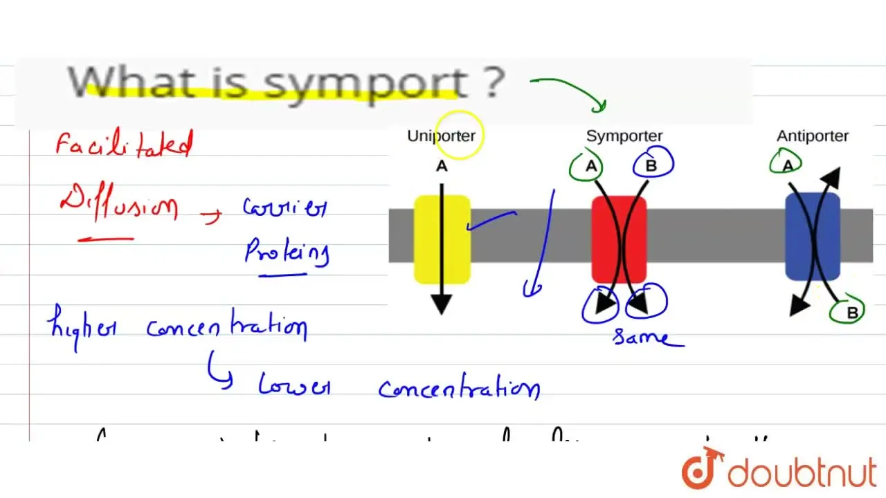 What is symport