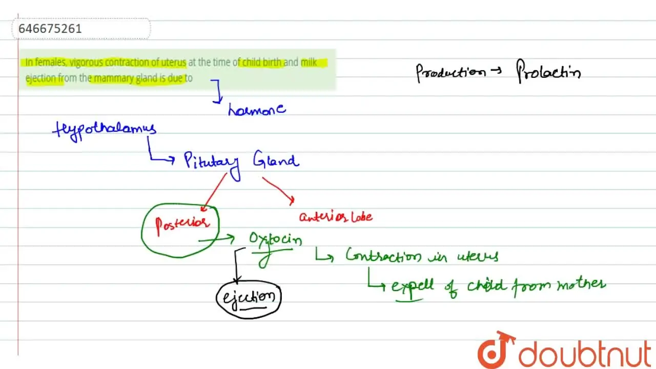 In females, vigorous contraction of uterus at the time of child birth