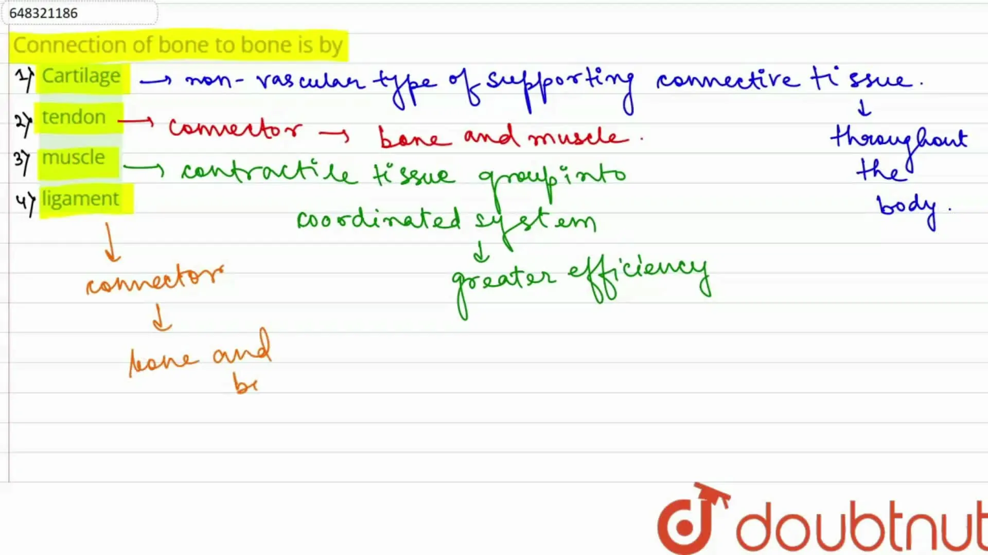Connection of bone to bone is by