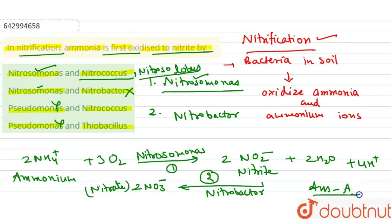In nitrification, ammonia is first oxidised to nitrite by