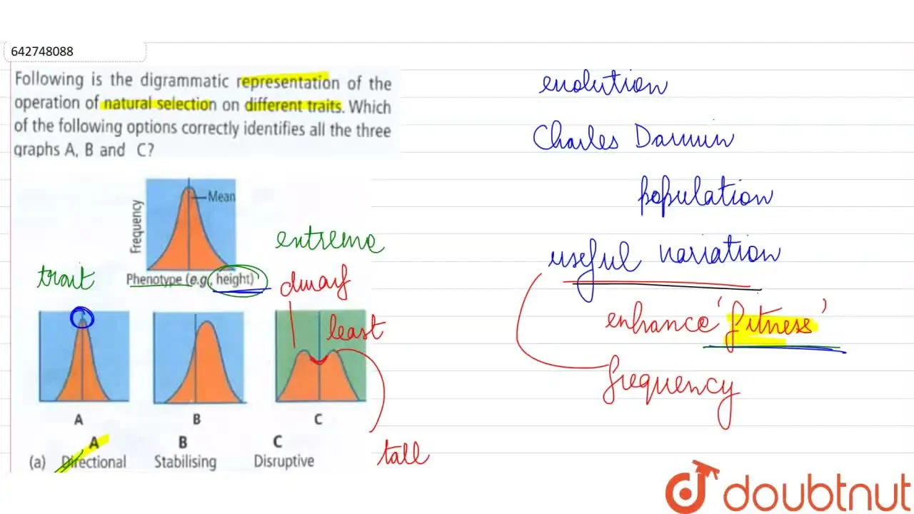 A","B","C"),(,"Disruptive","Stabilizing","Directional"):}