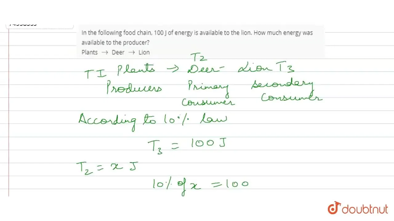 In the following food chain, 100 J of energy is available to the lion